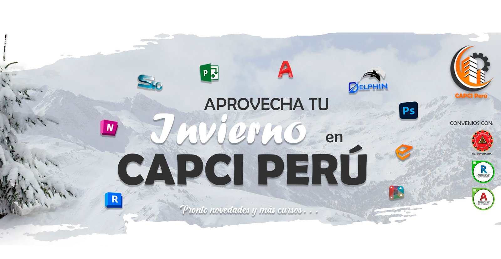 INICIO - CAPCI PERU